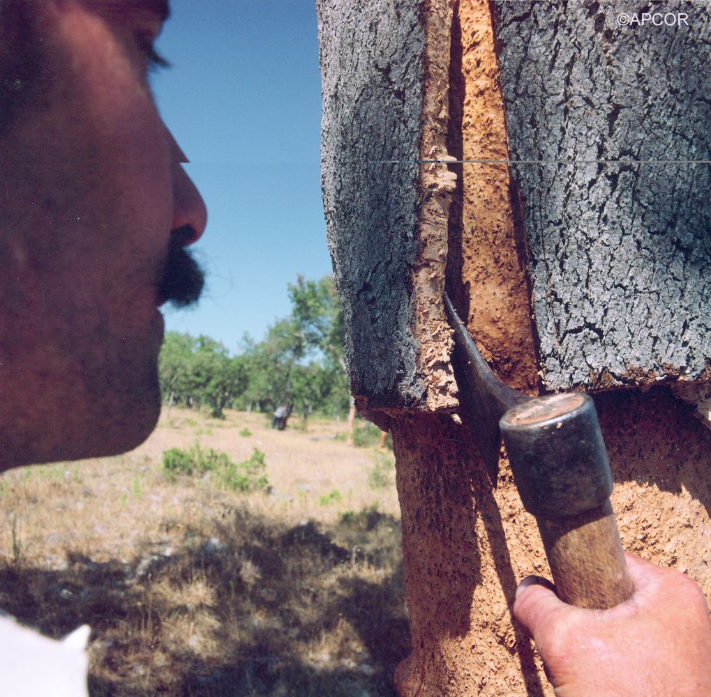 Cork Industry - Versacork